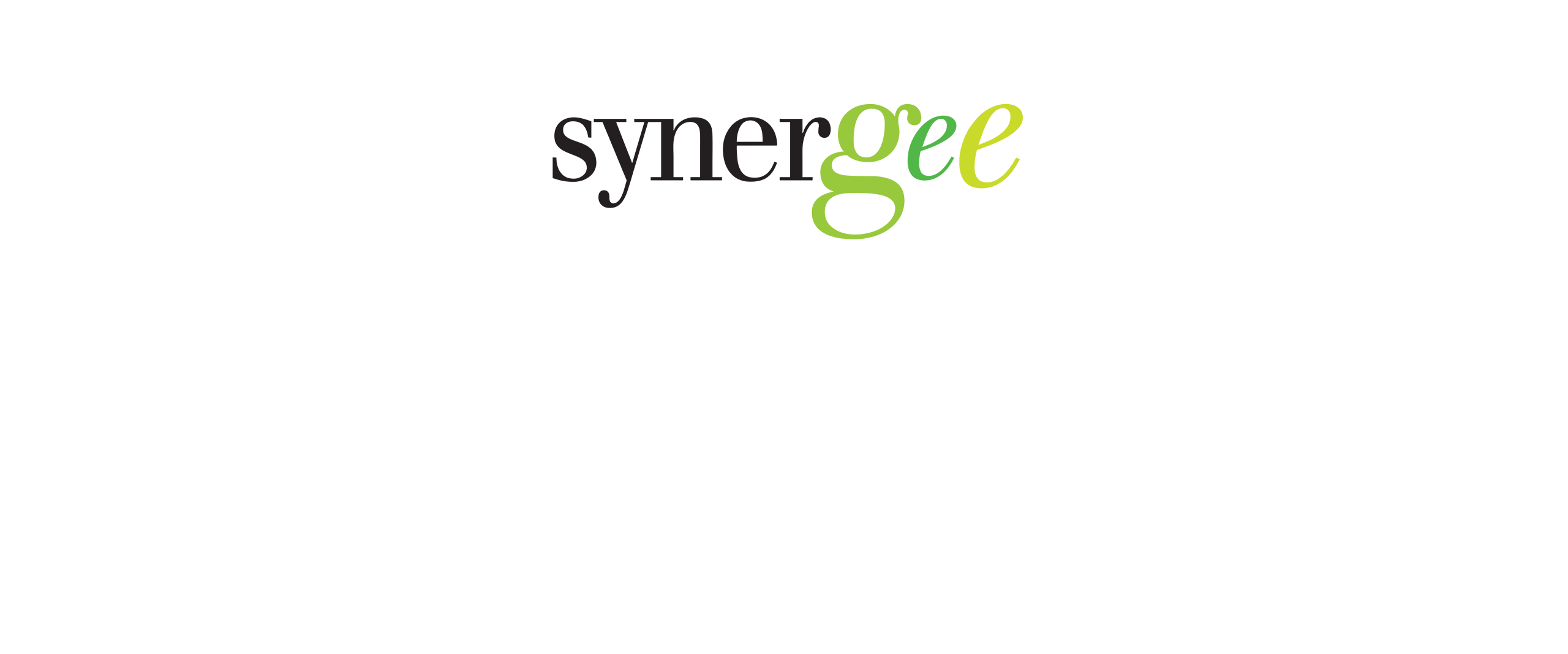 Bridging the gap | Synergee
